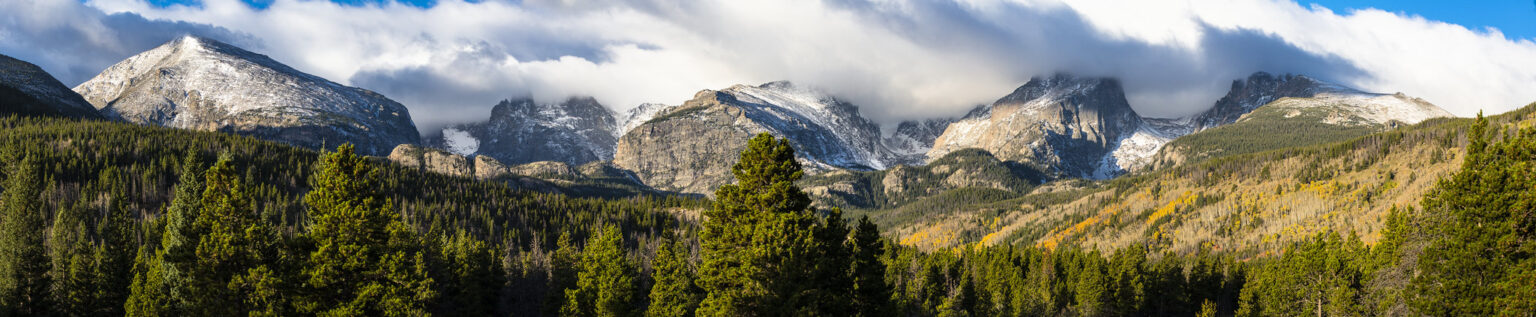 The ‘Born To Be Wild’ Blog – 'BORN TO BE WILD' Colorado Wolf License Plate
