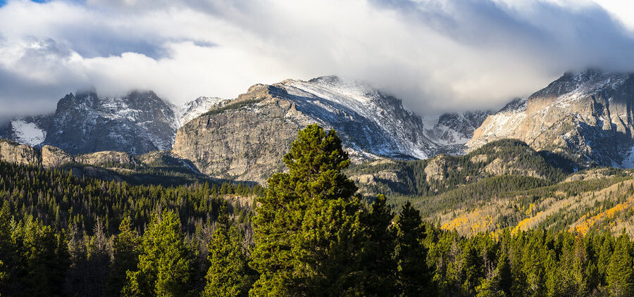 Nonprofit News – 'BORN TO BE WILD' Colorado Wolf License Plate
